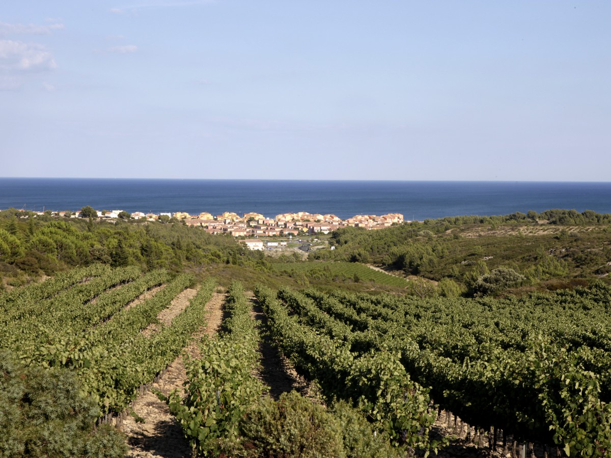 MASSIF DE LA CLAPE | Narbonne Tourisme